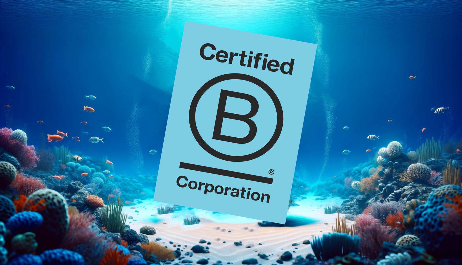 Moving Beyond B-Corp Certification - Except Integrated Sustainability B.V.