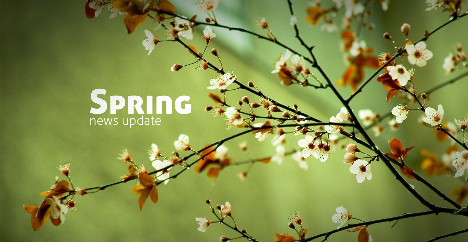 Spring 2013 News Update - Except Integrated Sustainability B.V.