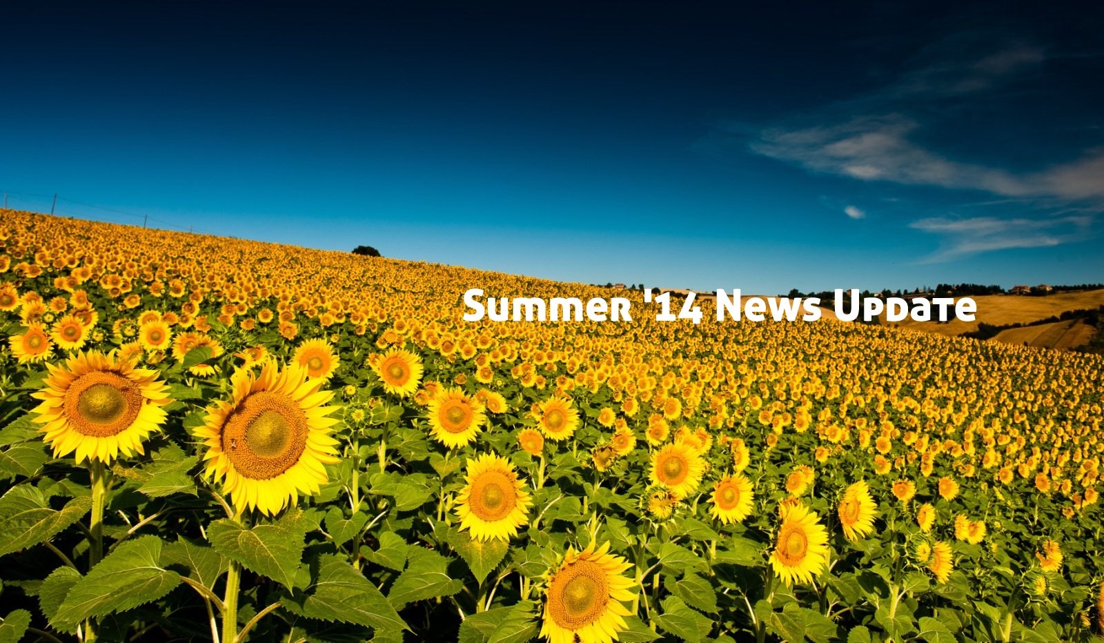 Summer '14 News Update - Except Integrated Sustainability B.V.